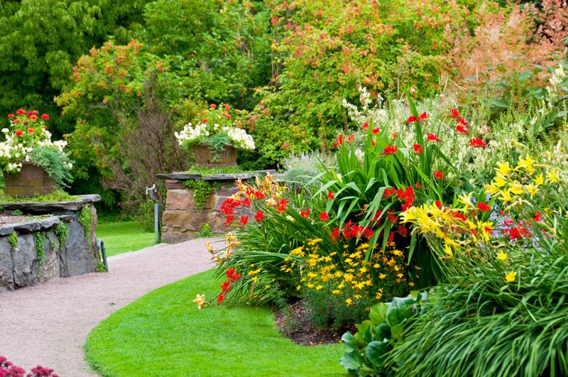 Supplier Softscape & Hardscape: Solusi Terpadu untuk Proyek Lanskap ...